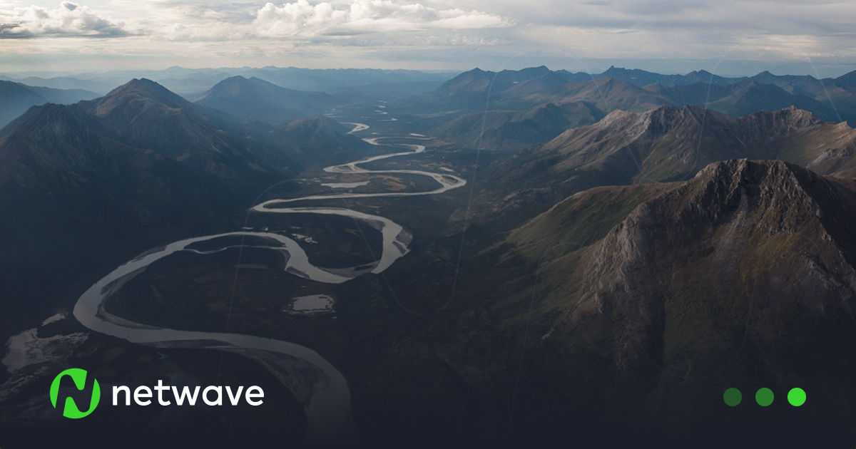 Building a Wi-Fi, LAN, and SD-WAN Network for the Central Office and Branches - Netwave